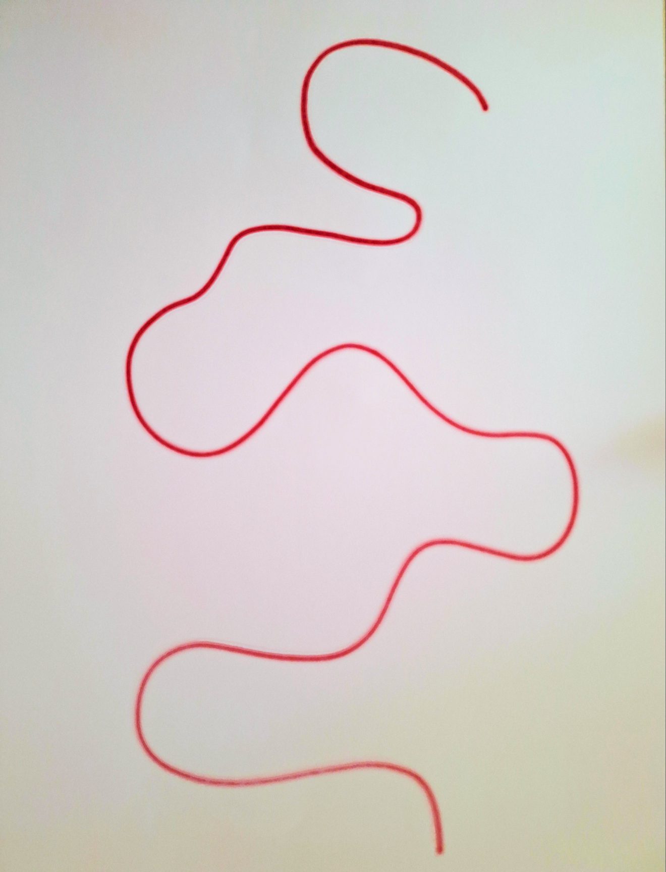 #legamo: Roter Faden | Blog der Referent:innen Akademie